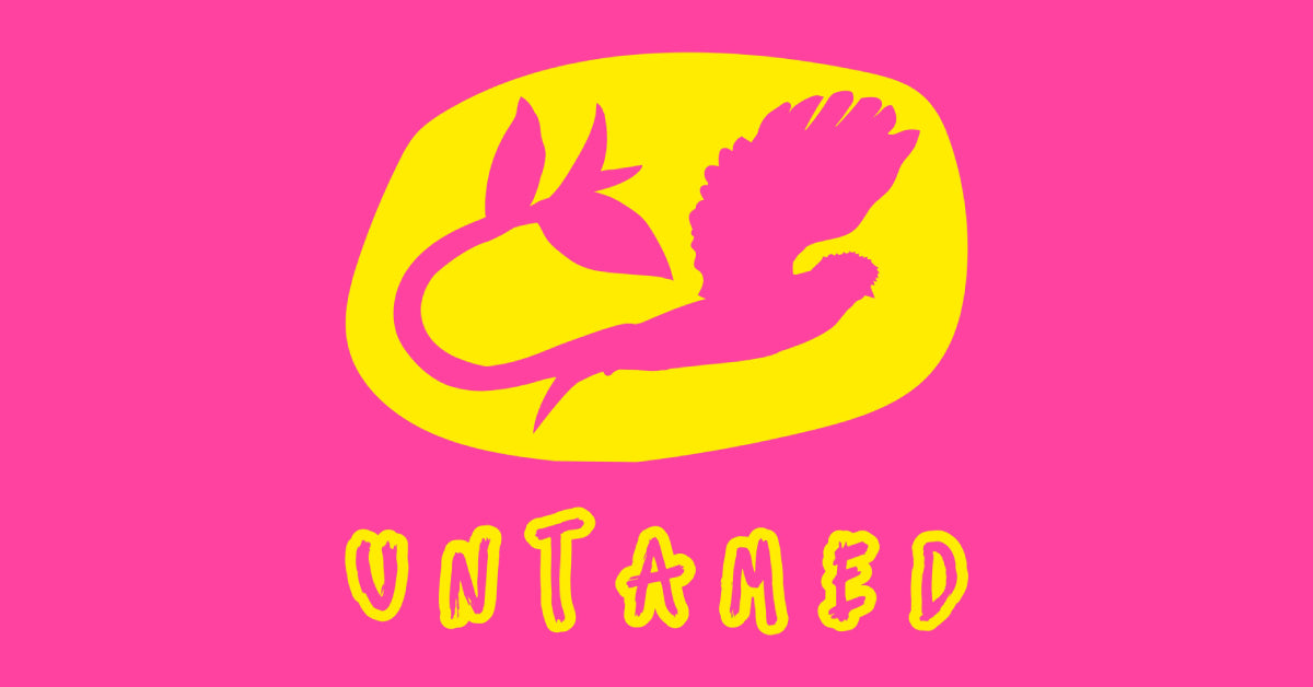 Waar kombucha kopen? Op deze plekken staat Untamed Kombucha